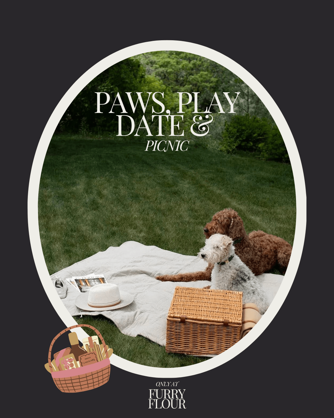 Furry Flour Events – Flour